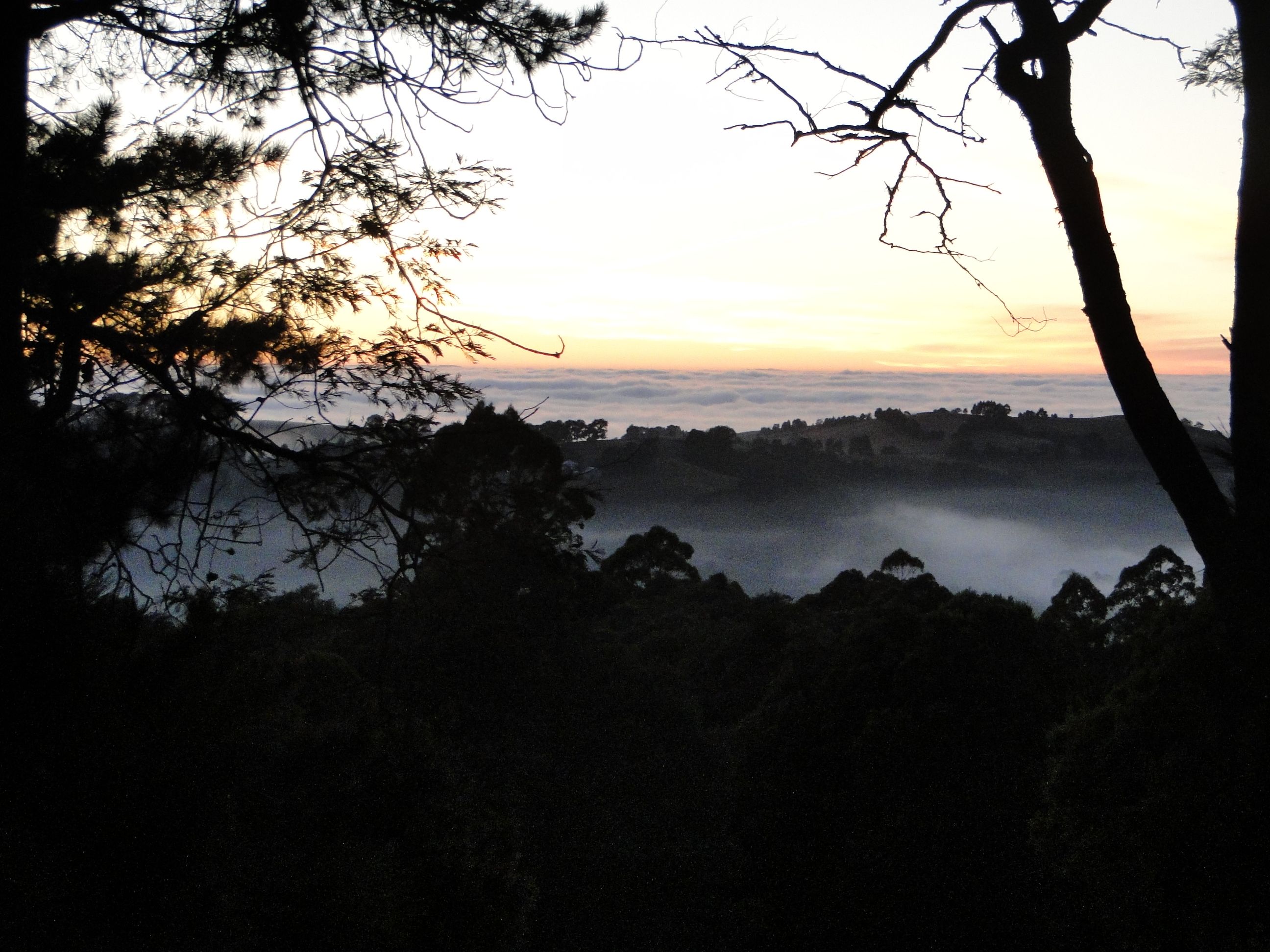 Sunrise at Allambee Camp | Allambee Camp
