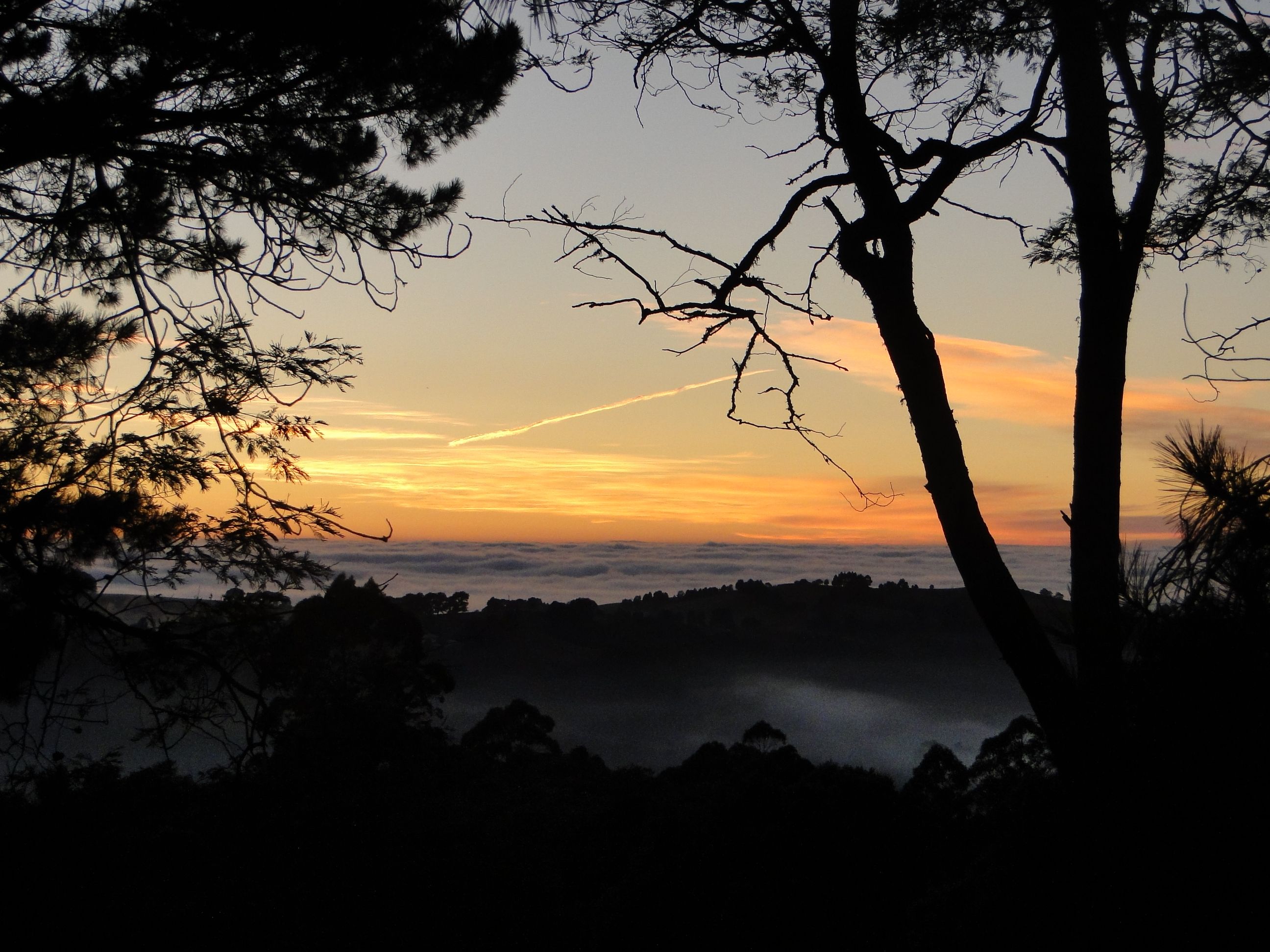 Sunrise at Allambee Camp | Allambee Camp