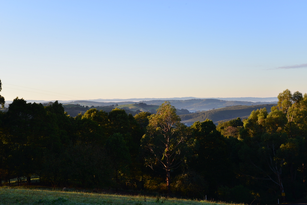 View South - Allambee Camp
