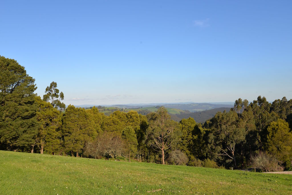 View south - Allambee Camp