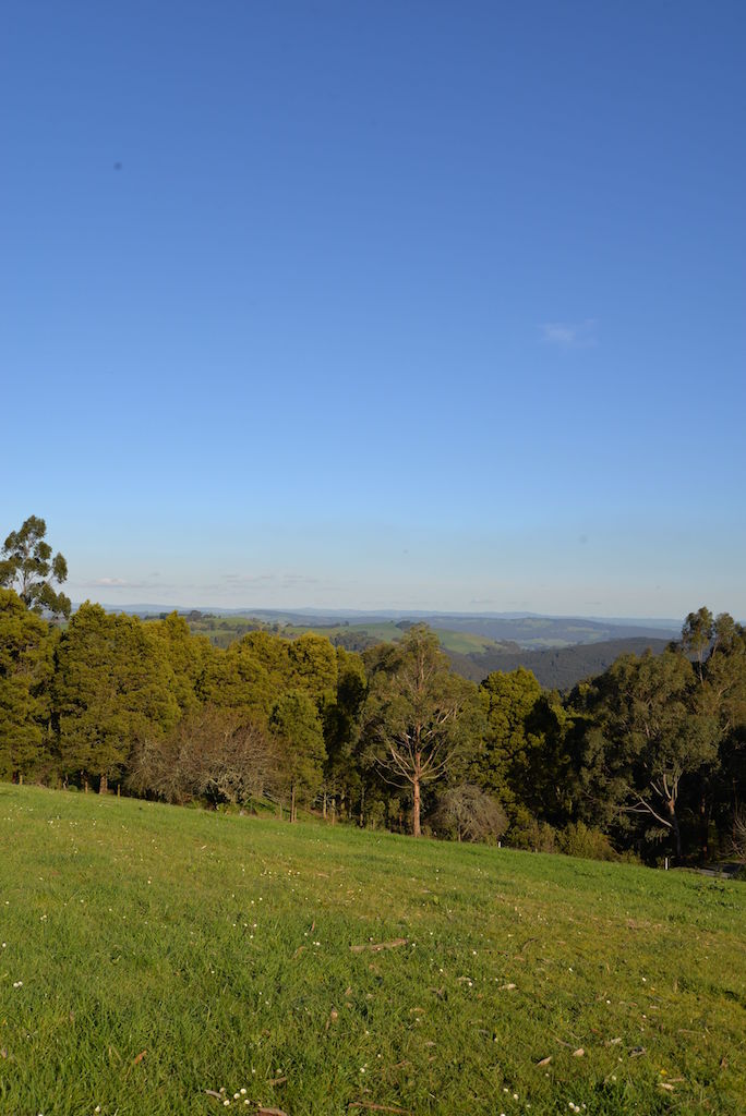 View south | Allambee Camp